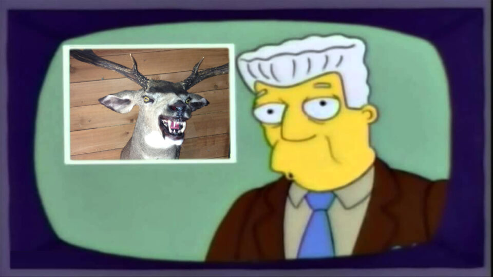 Warning: Zombie Deer Disease Could Spread To Humans Soon - Riot Fest
