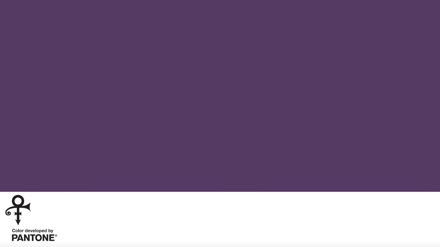 Prince Has His Very Own Official Shade Of Purple - Riot Fest