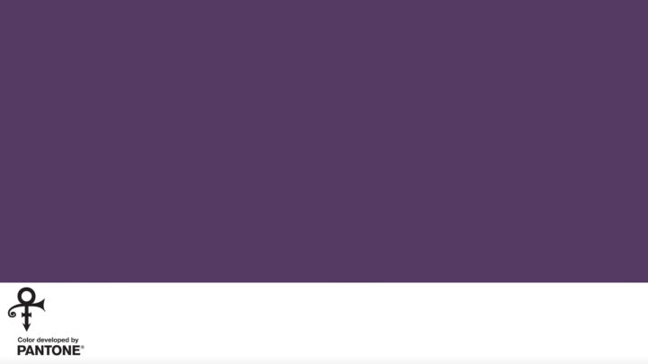 Prince Has His Very Own Official Shade Of Purple - Riot Fest