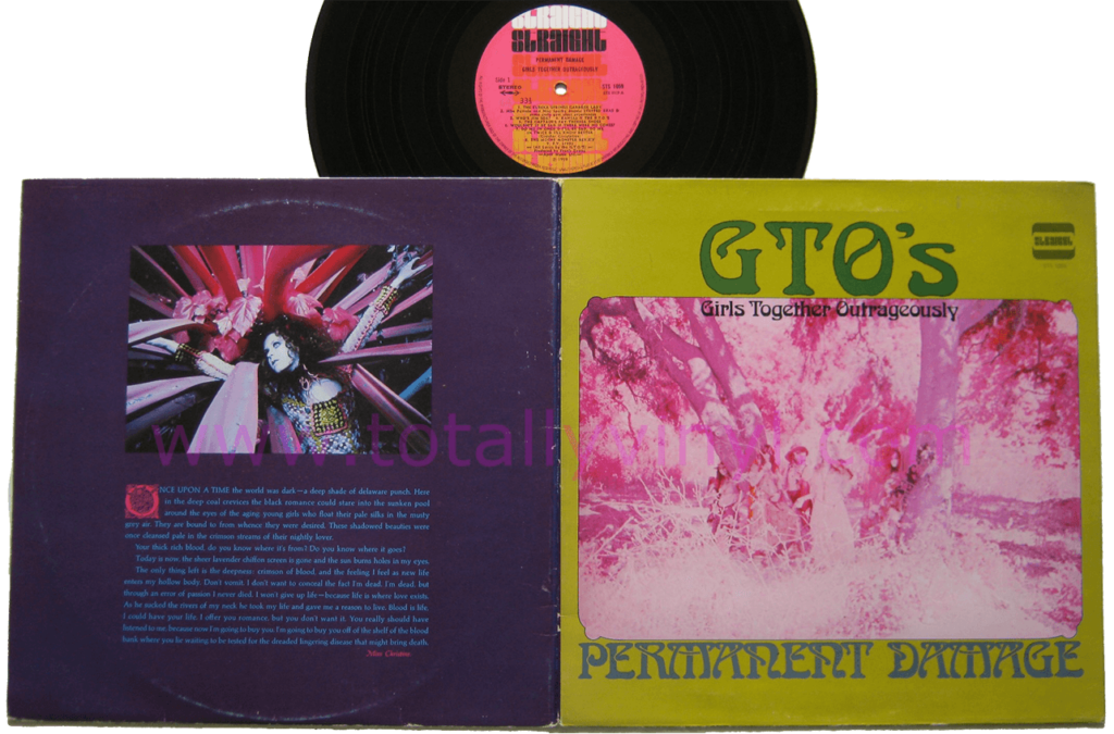 They Were With the Band: The GTO’s and Groupie Rock of Yore - Riot Fest