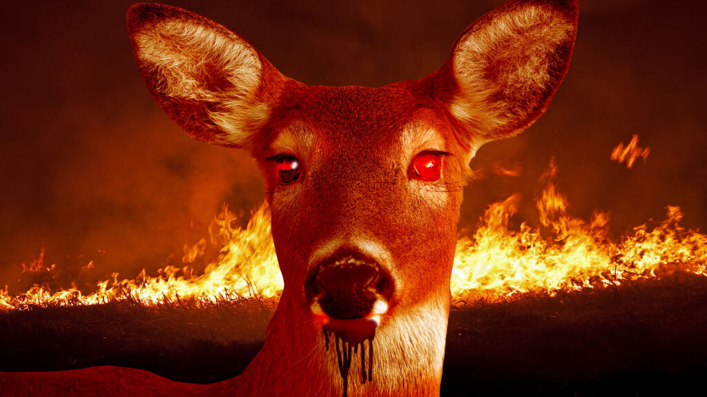 Warning Zombie Deer Disease Could Spread To Humans Soon Riot Fest Warning Zombie Deer Disease Could Spread To Humans Soon Riot Fest