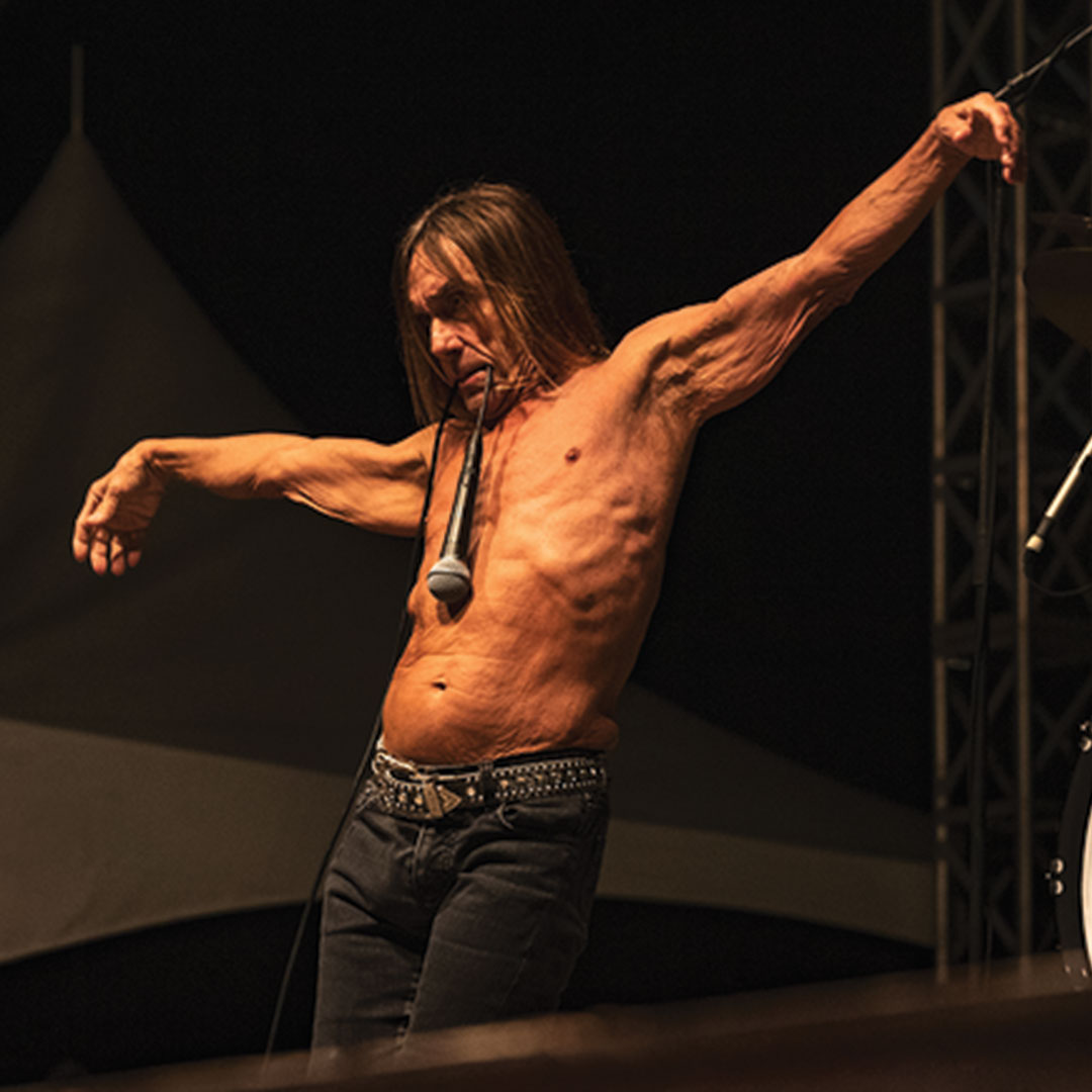 ICYMI: The Top 15 Riot Fest Acts Ever, as Voted by Fans