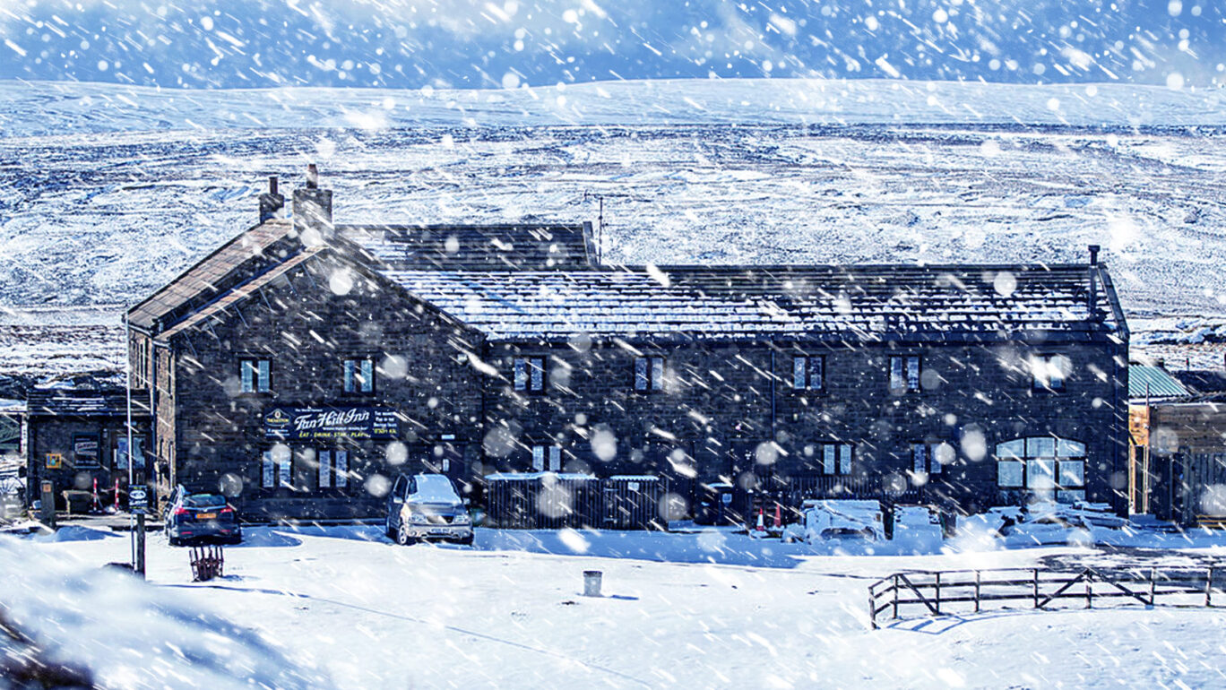 A Beginner’s Guide To Tim Barry’s First Band, AVAIL - Riot Fest