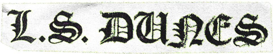 Who The Heck Are L.S. Dunes? - Riot Fest